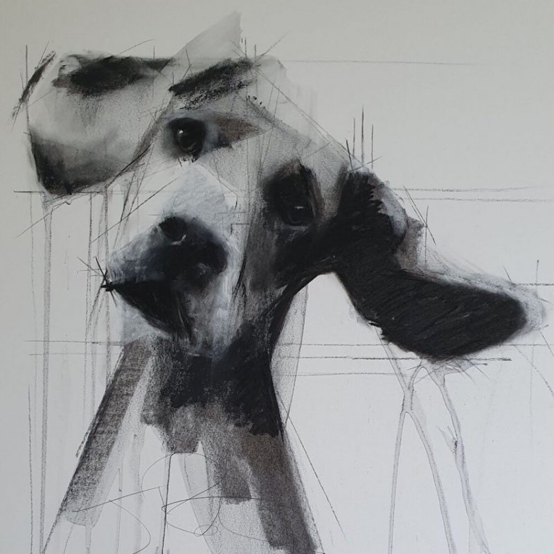 John Rotherham - Ribble Valley Arts